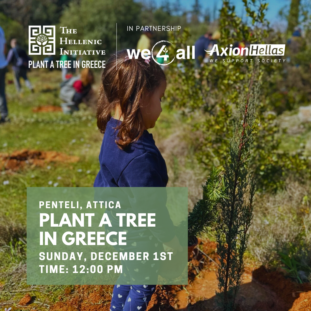 THI Tree Planting Event, Penteli - December 2024