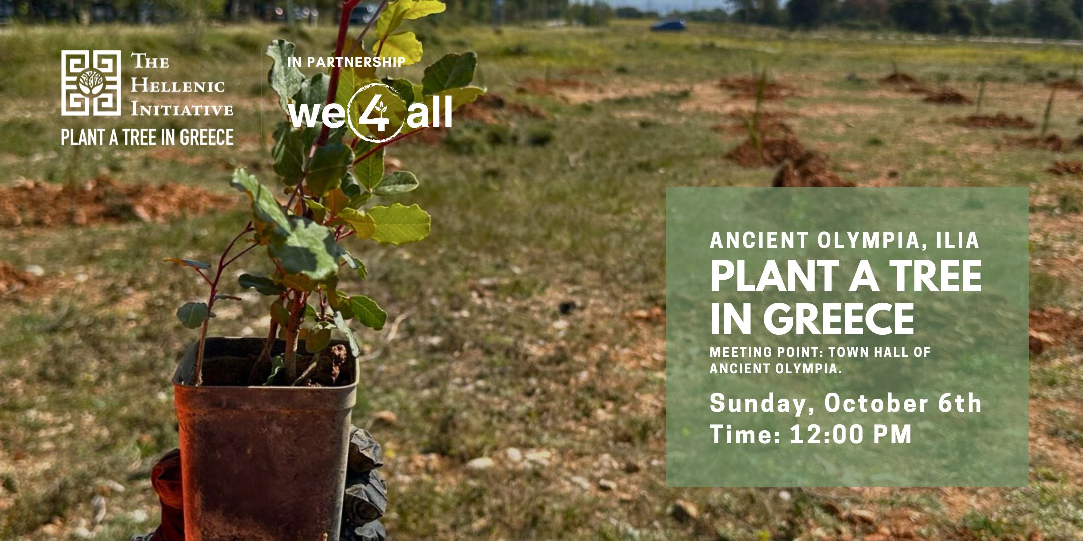 THI Tree Planting Event, Olympia - October 2024
